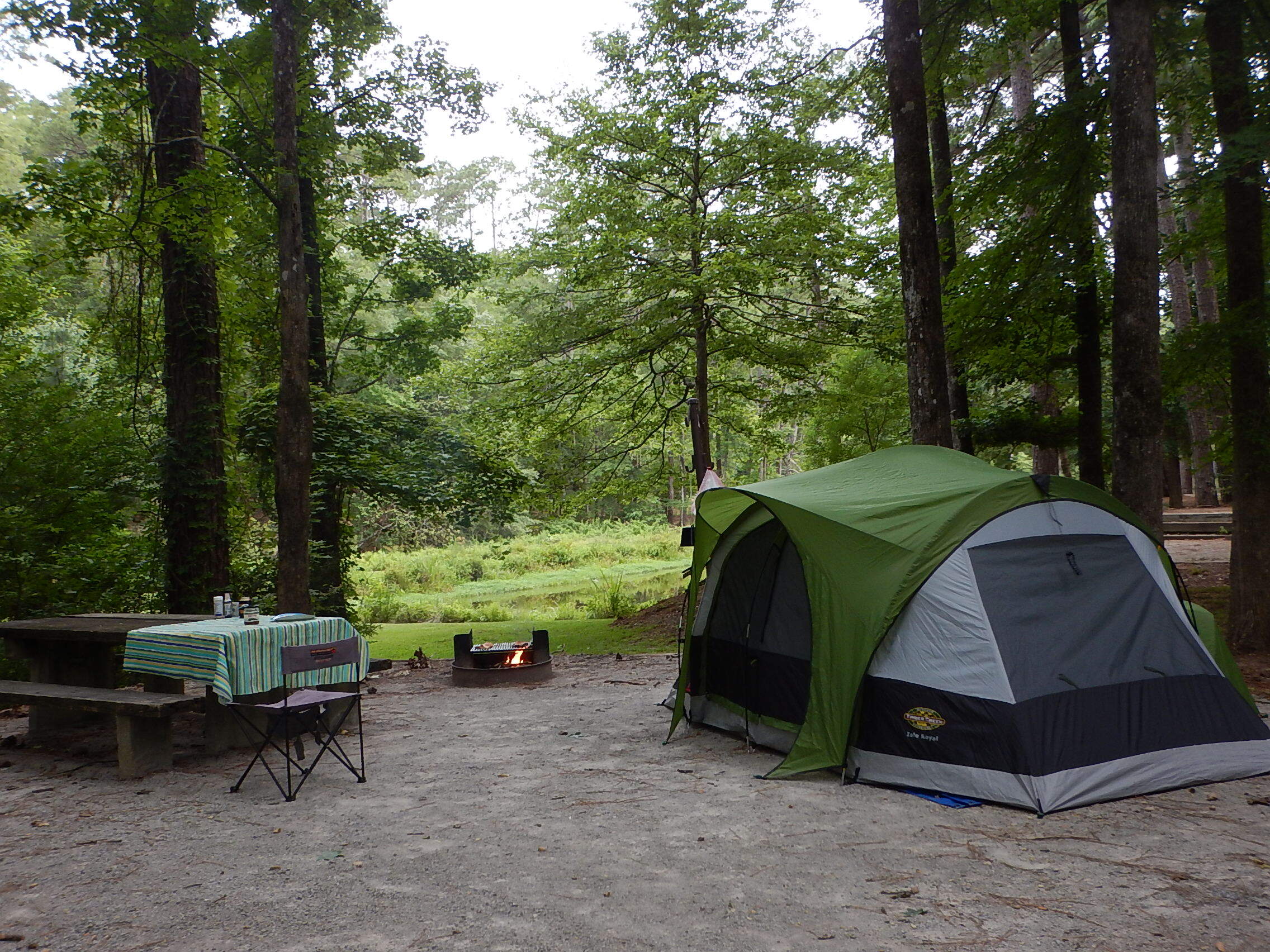 Clear Springs Recreation Area Reviews updated 2022