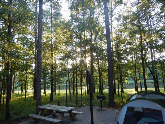 Marathon Lake Campground Reviews