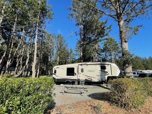 Harris Beach State Park Campground Reviews updated 2025