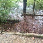 Bandits Roost Campground Reviews - Campendium