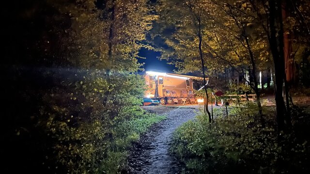 Holly Point Campground Reviews updated 2025