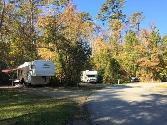 Photo 1 of 51 of Flanners Beach-Neuse River Campground - New Bern, NC ...