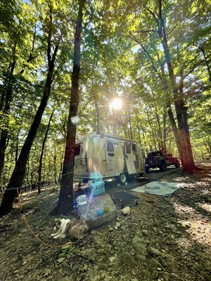 Pilot Mountain State Park Reviews updated 2025