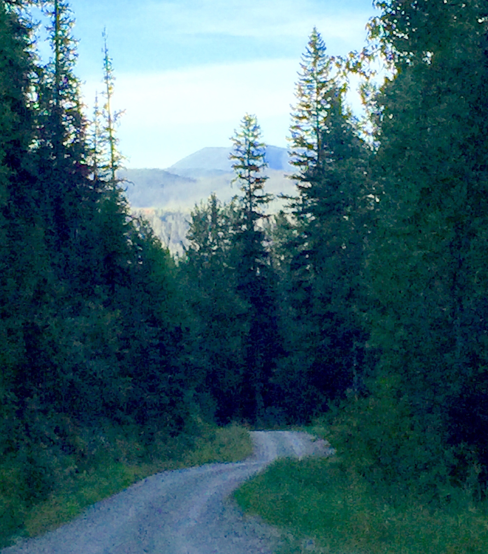 Lost Johnny Campground Reviews updated 2025