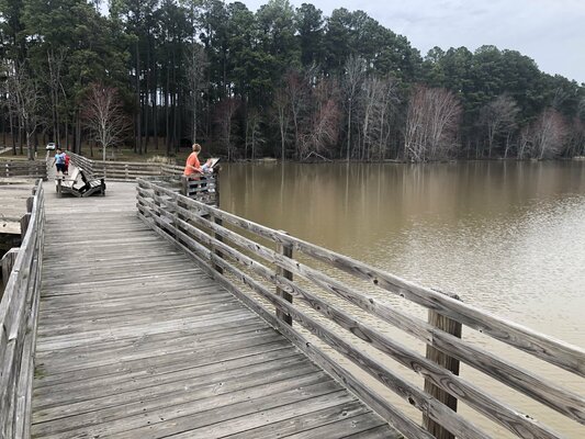 Chester State Park Reviews updated 2025