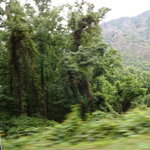 Elkmont Campground Reviews - Campendium